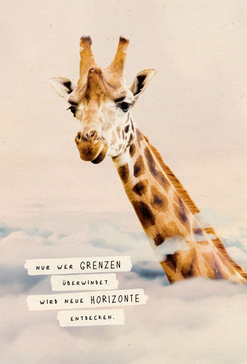 Lebensweisheit Postkarte Giraffe aus Zuckerrohrpapier – Grenzen erkenn